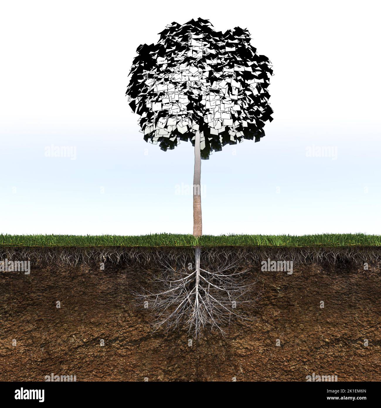 tree root system, cg illustration, sketch, outline Stock Photo - Alamy