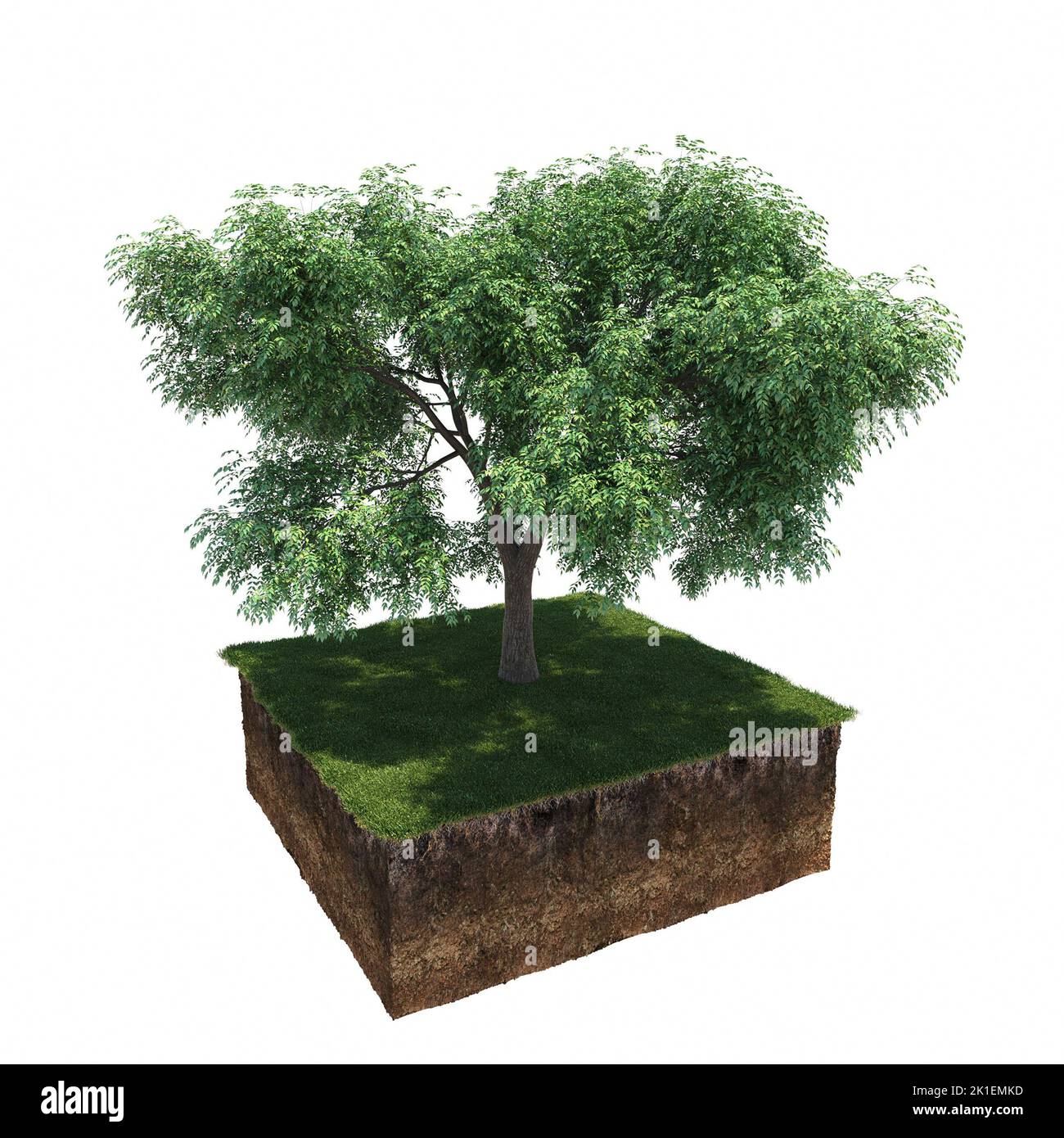 Soil slice Cut Out Stock Images & Pictures - Alamy