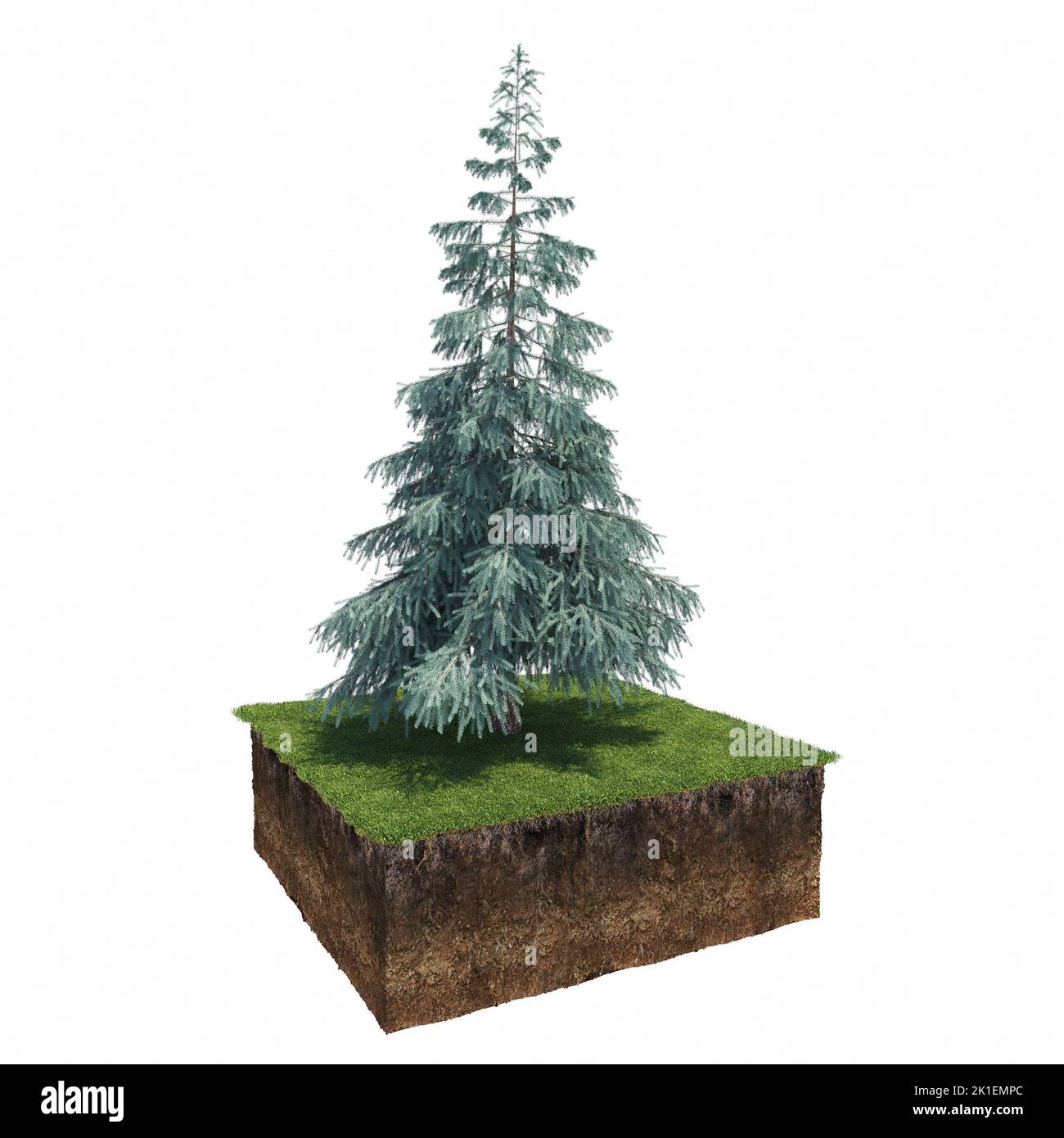 tree on the grass and a slice of soil under it, 3d render Stock Photo ...