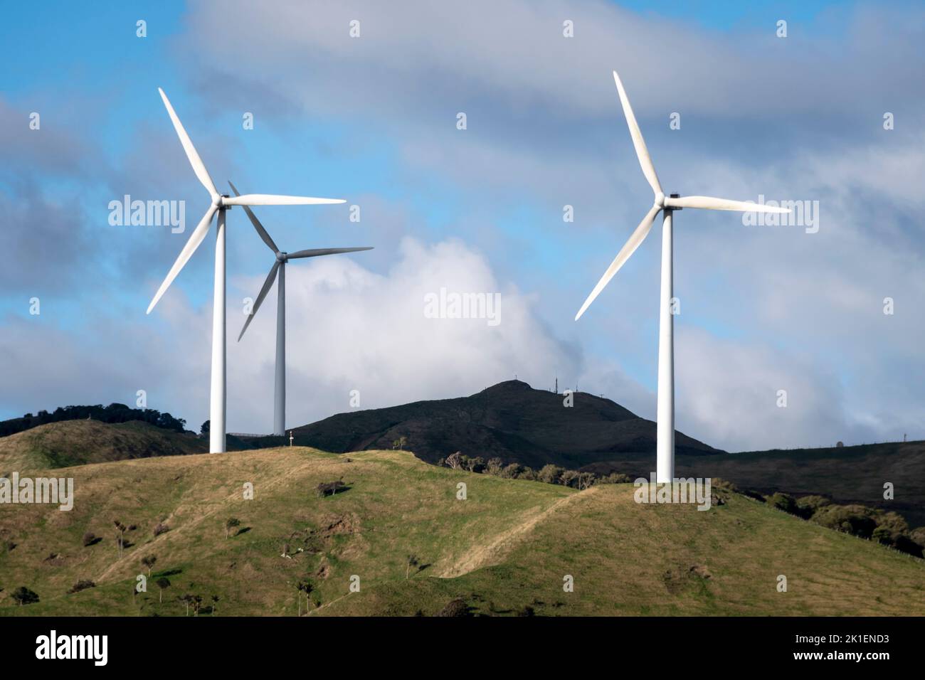 Wind turbine near Ashurst, Tararua District, North Island, New Zealand ...