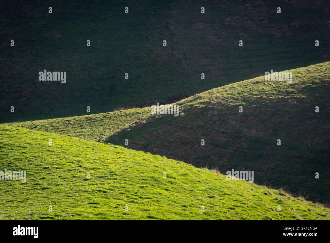 Rolling hills near Ashurst, Manawatu, North Island, New Zealand Stock ...