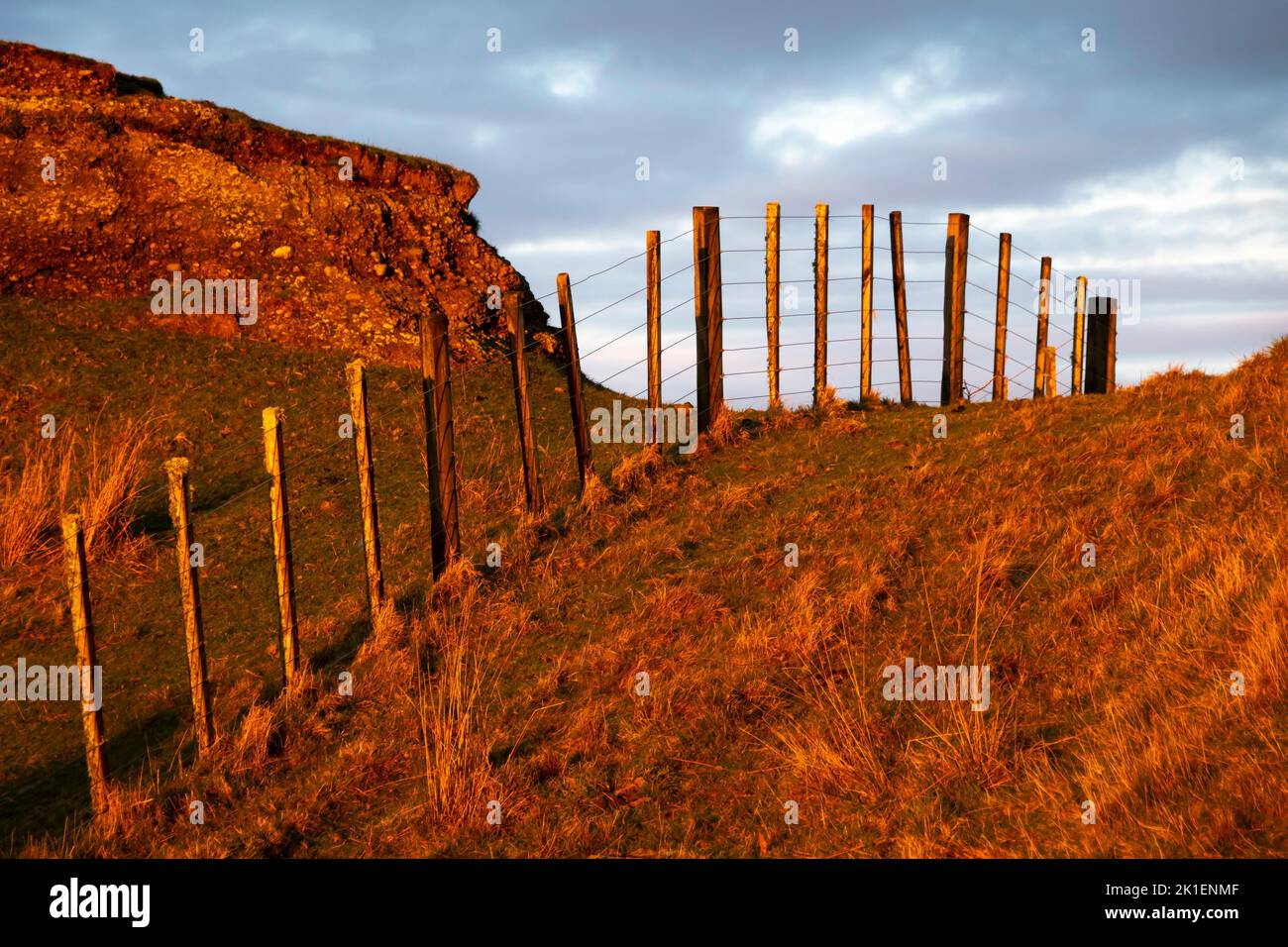 Farm fences at dawn, Woodville, Tararua District, North Island, New ...