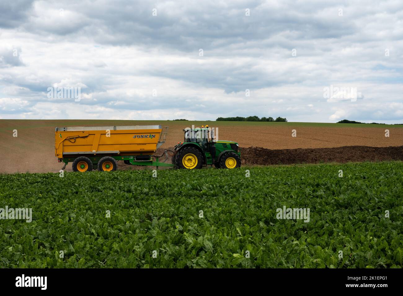 Bossut, Wallon Region, Belgium - 08 21 2022 - Yellow tractor harvesting ...