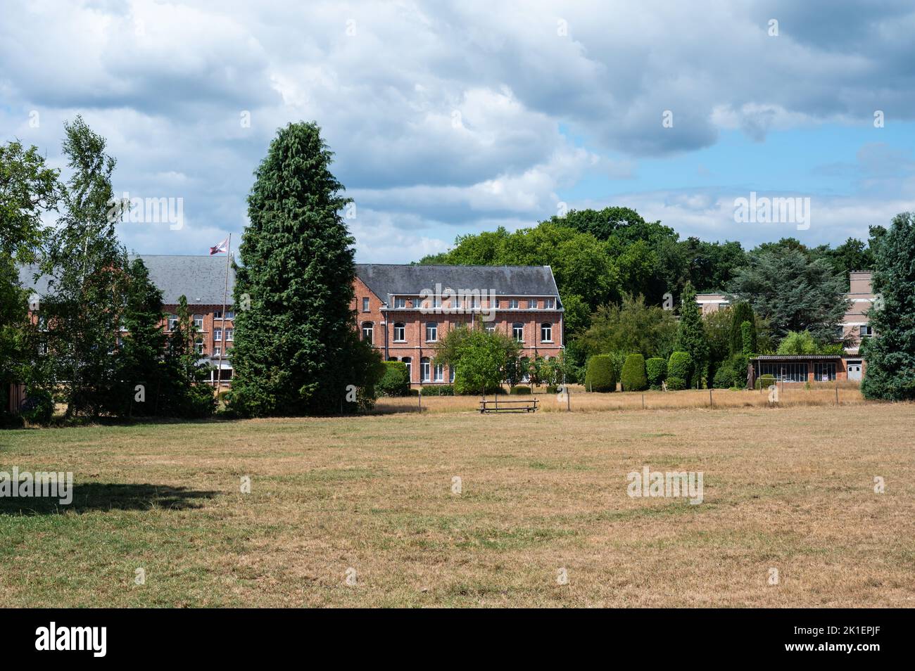 Heverlee, Flemish Brabant, Belgium - 08 21 2022 - Yellow meadows and ...