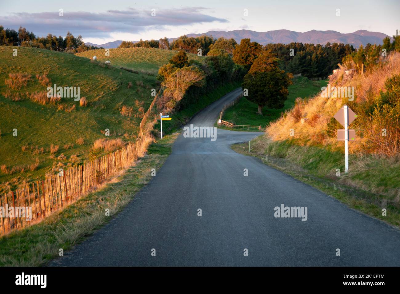 Country road, Pohangina Valley, Manawatu, North Island, New Zealand ...