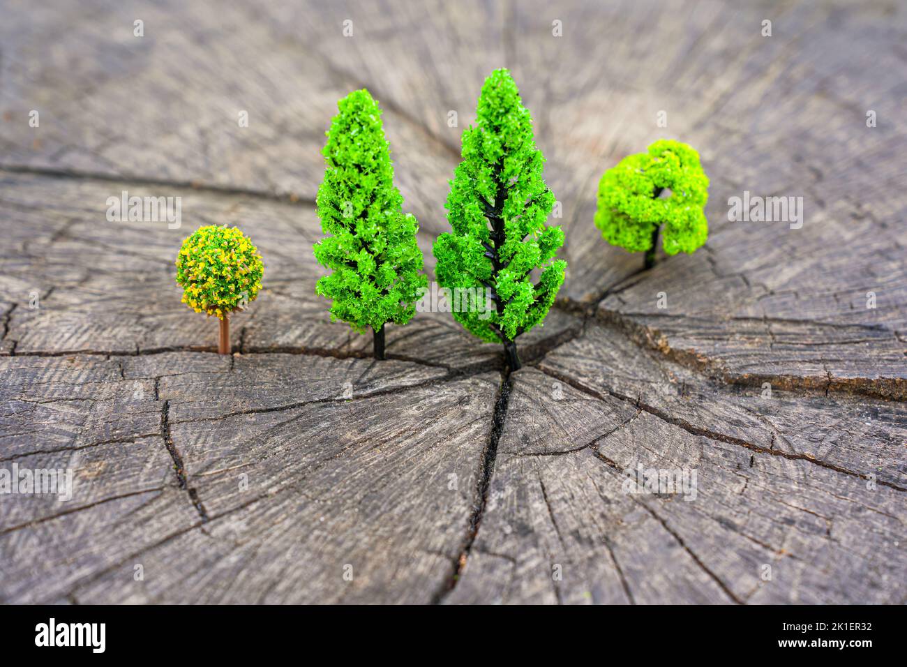 Tiny toy trees placed on a large tree stump, close-up. Creative ...