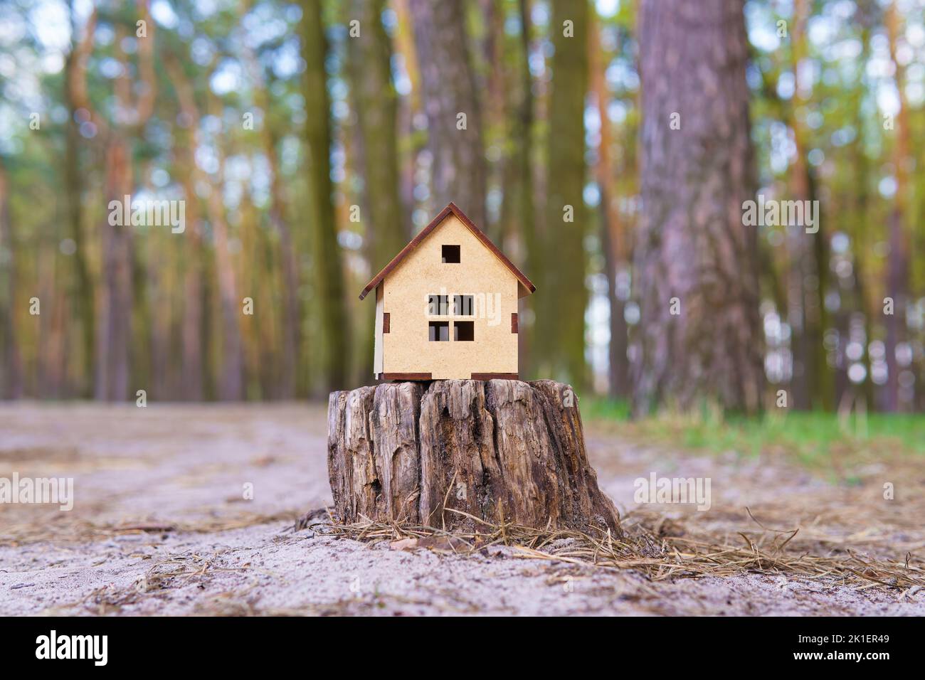 Self assembly model hi-res stock photography and images - Alamy