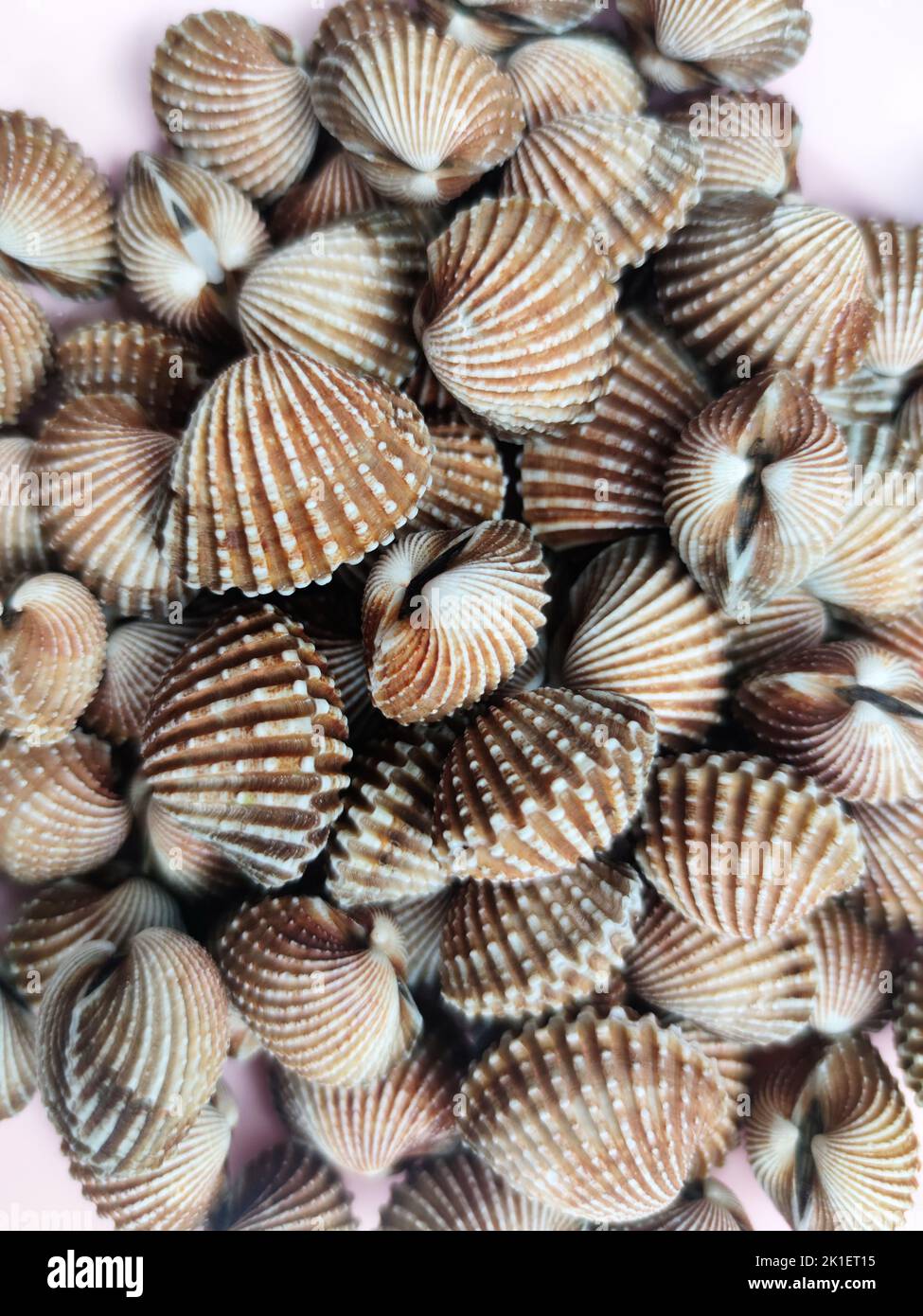 Bloody cockles hi-res stock photography and images - Alamy