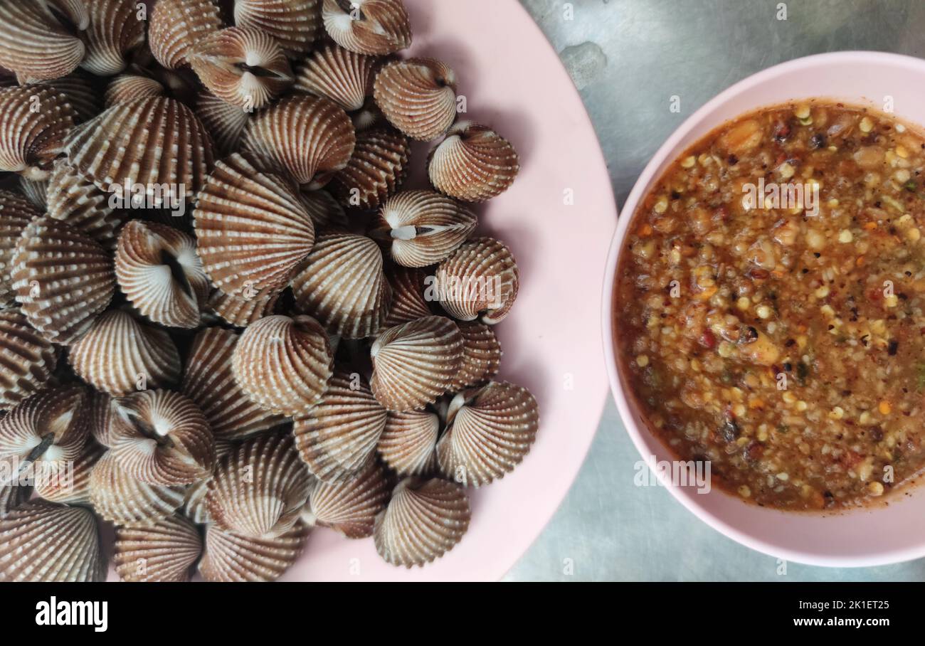 Tegillarca granosa or also known as a cockle , Blood clam. Close Up ...