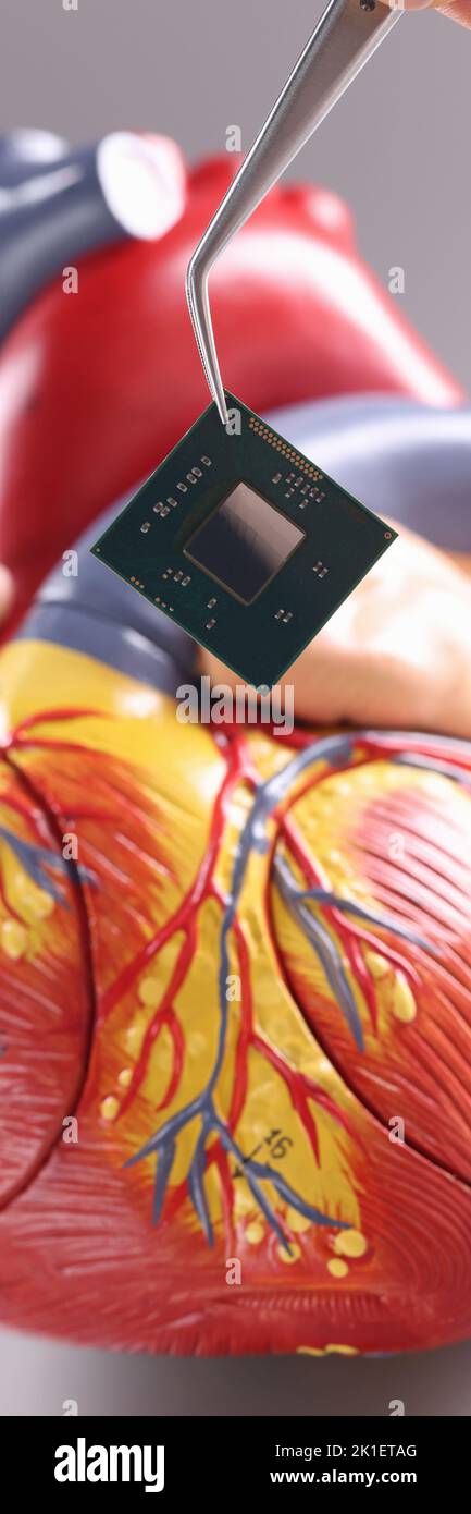 Hand inserting microchip into artificial heart mockup using tweezers ...