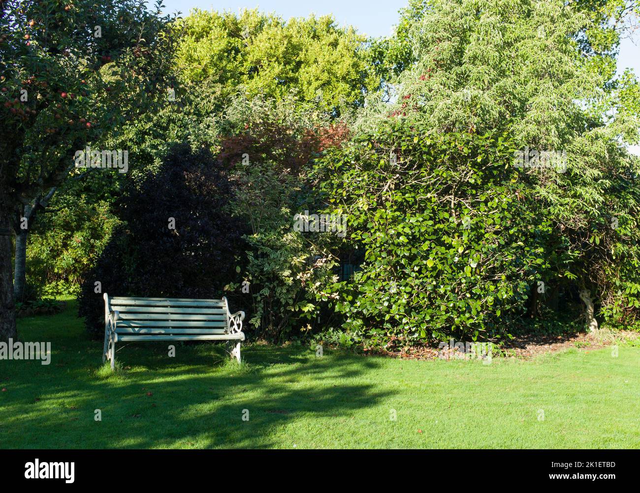 Blue bench in a green garden setting Stock Photo - Alamy