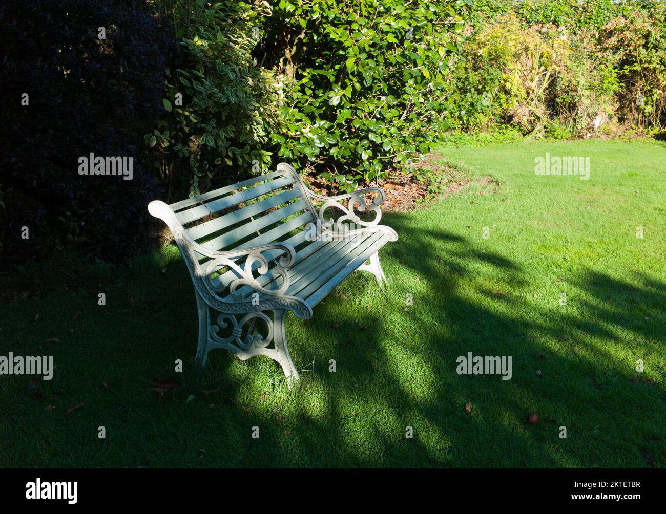 Blue bench in a green garden setting Stock Photo - Alamy