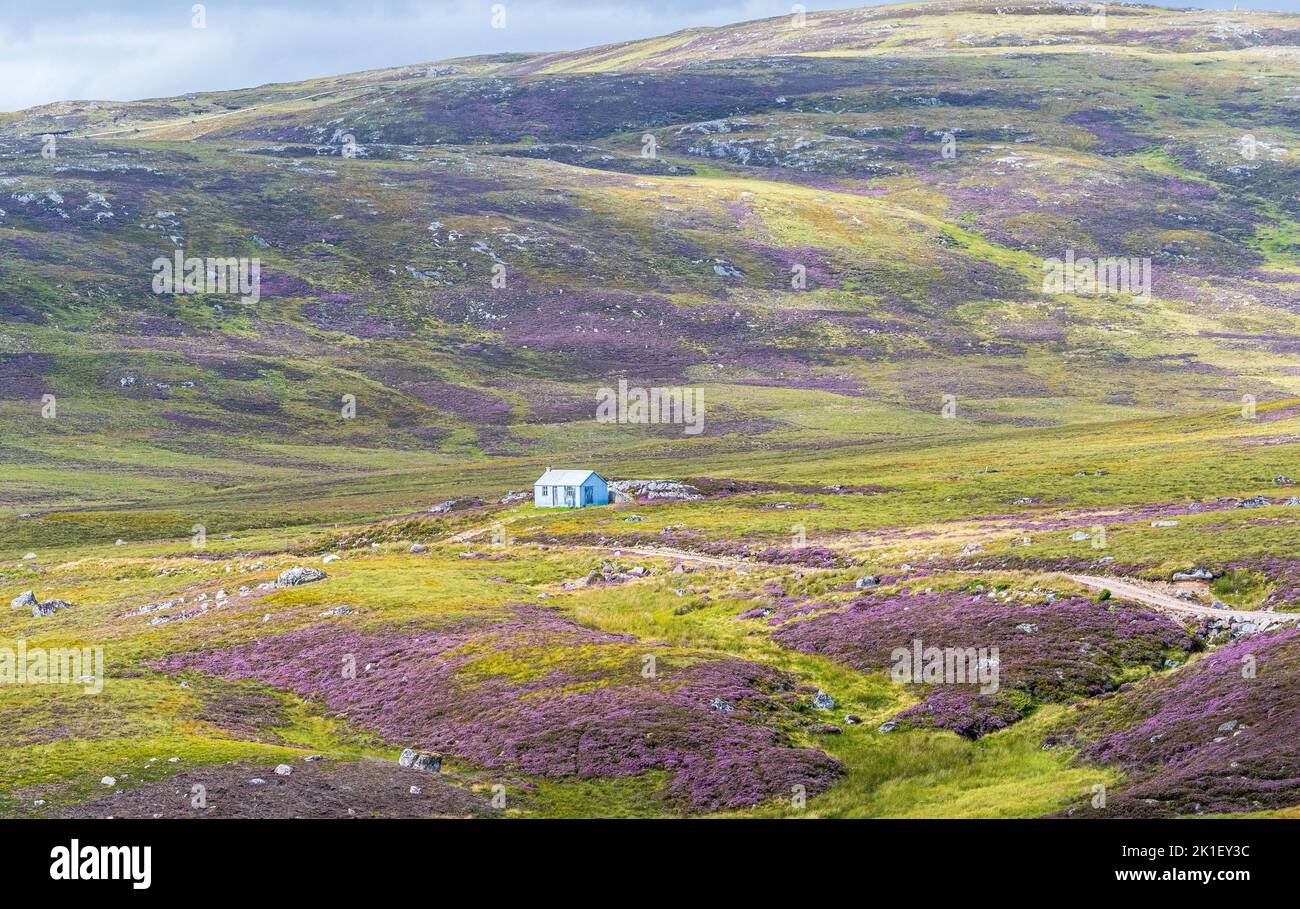 Heather clad hills at Garbole, Farr, Scotland, United Kingdom Stock ...