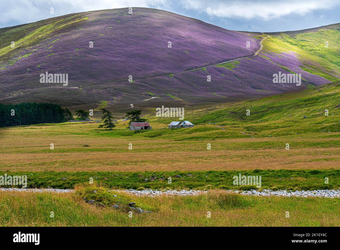 Heather clad hills at Garbole, Farr, Scotland, United Kingdom Stock ...