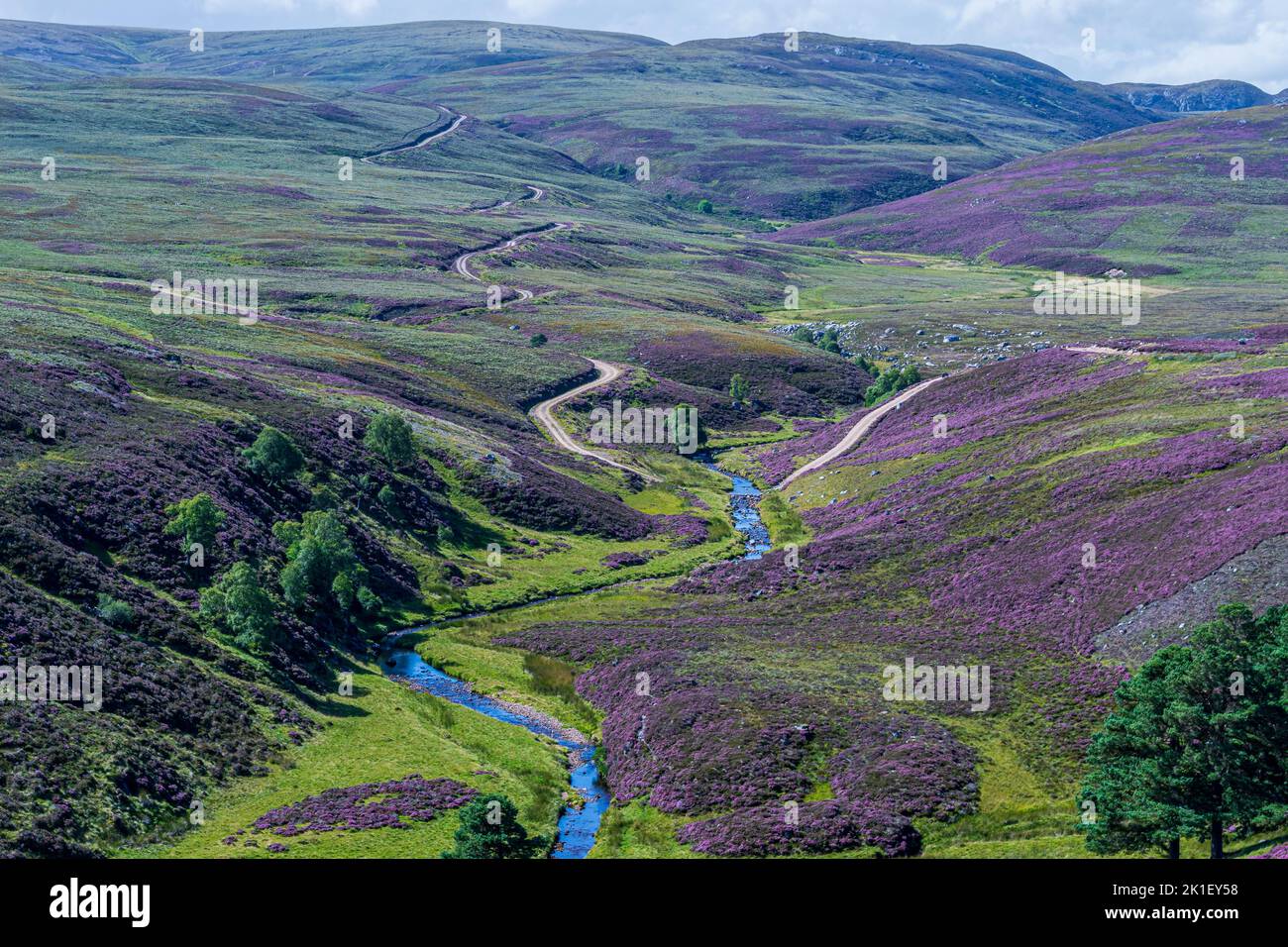 Heather clad hills at Garbole, Farr, Scotland, United Kingdom Stock ...