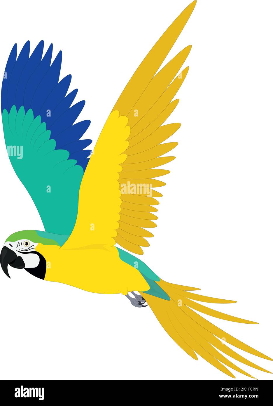 Macaw fly Stock Vector Images - Alamy