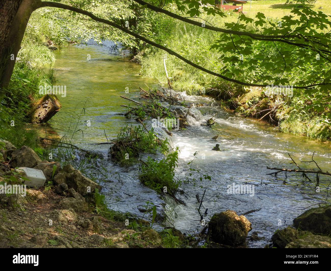 A flowing water surrounded by scenic green nature and vegetation with ...