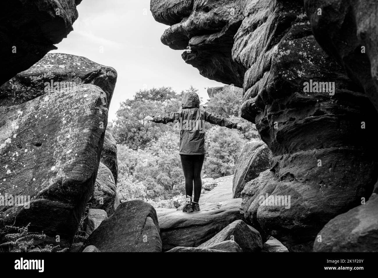 Brimham Rocks in Nidderdale, The Yorkshire dales, England Stock Photo ...