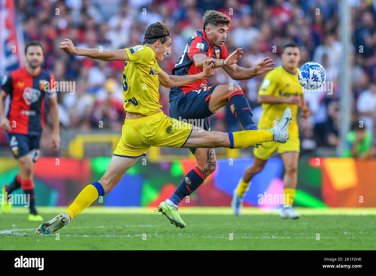 Genoa, Italy. 17th Sep, 2022. Giorgio Cittadini (Modena) - Manolo ...