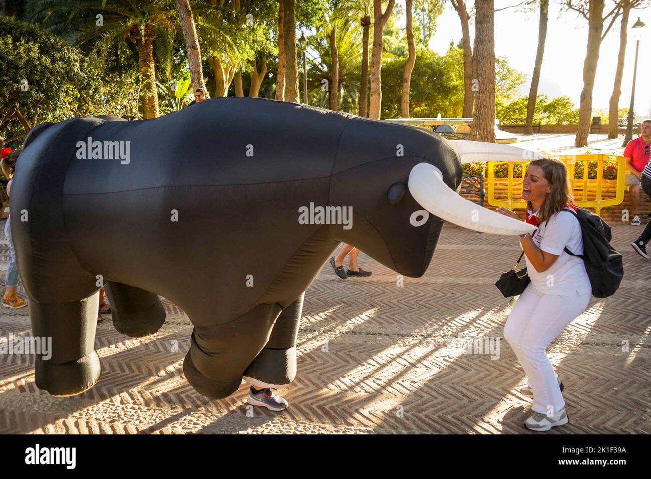 Fake bulls hi-res stock photography and images - Alamy