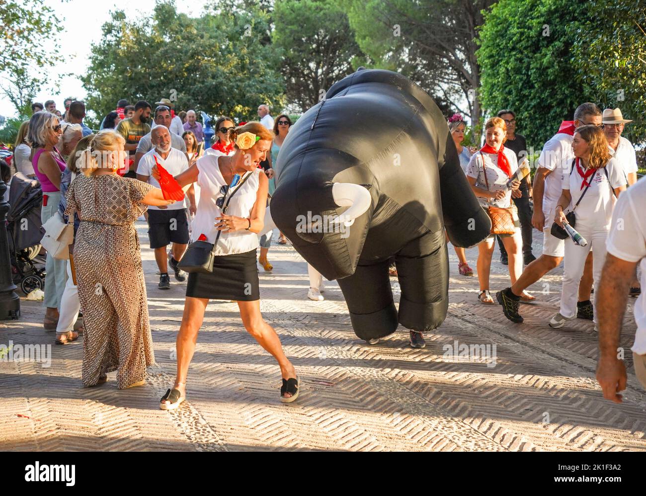Running of the bulls hi-res stock photography and images - Alamy