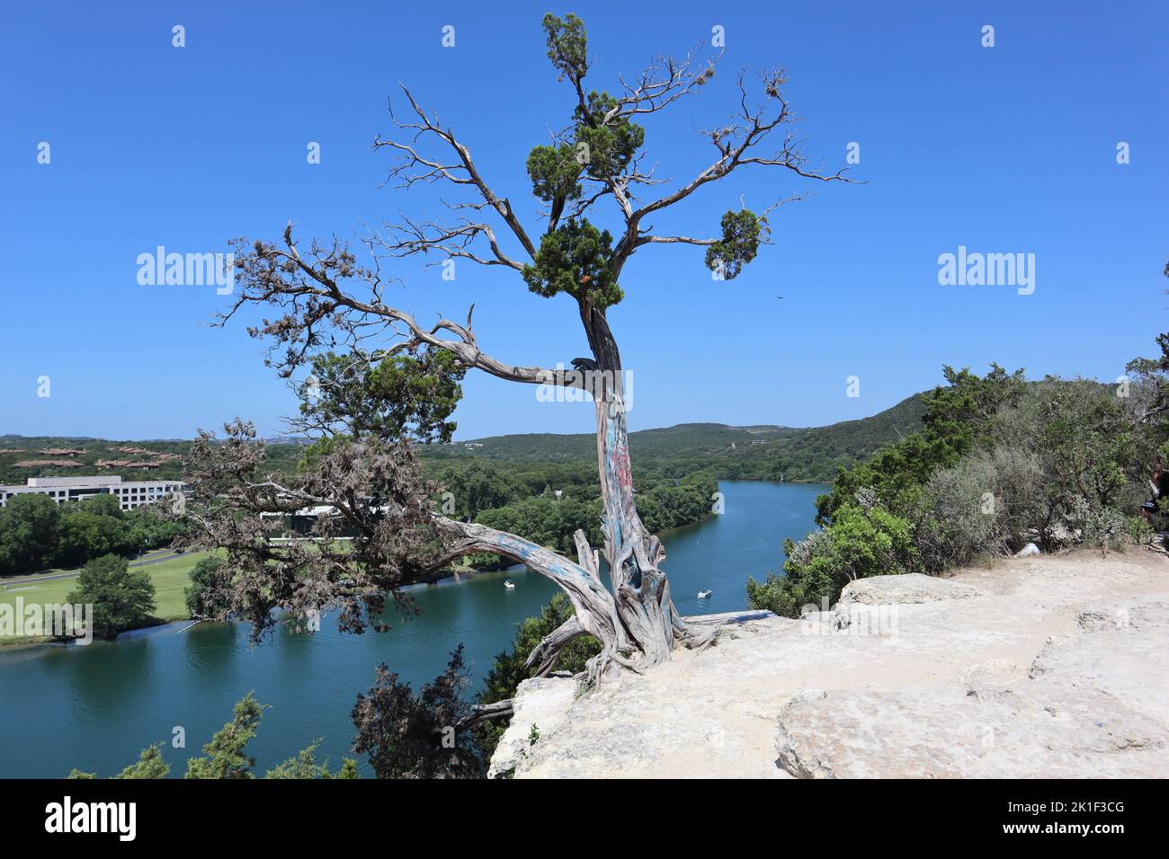 some Trees and shrubs above a lake in texas Stock Photo - Alamy