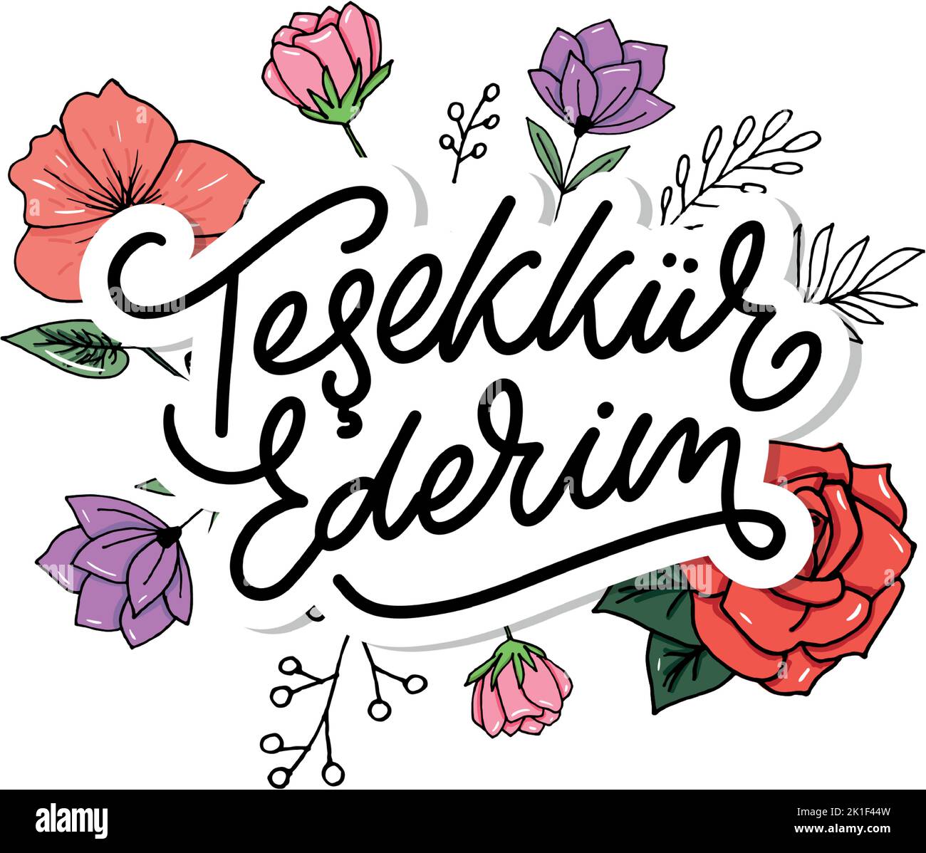 Text in the Turkish: Thank you. Lettering. Ink illustration. Modern ...