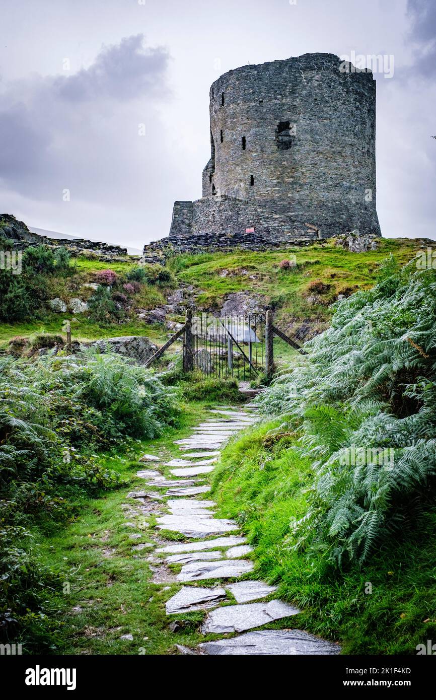 Dolbadarn Castle Llanberis Gwynedd Snowdonia National Park North