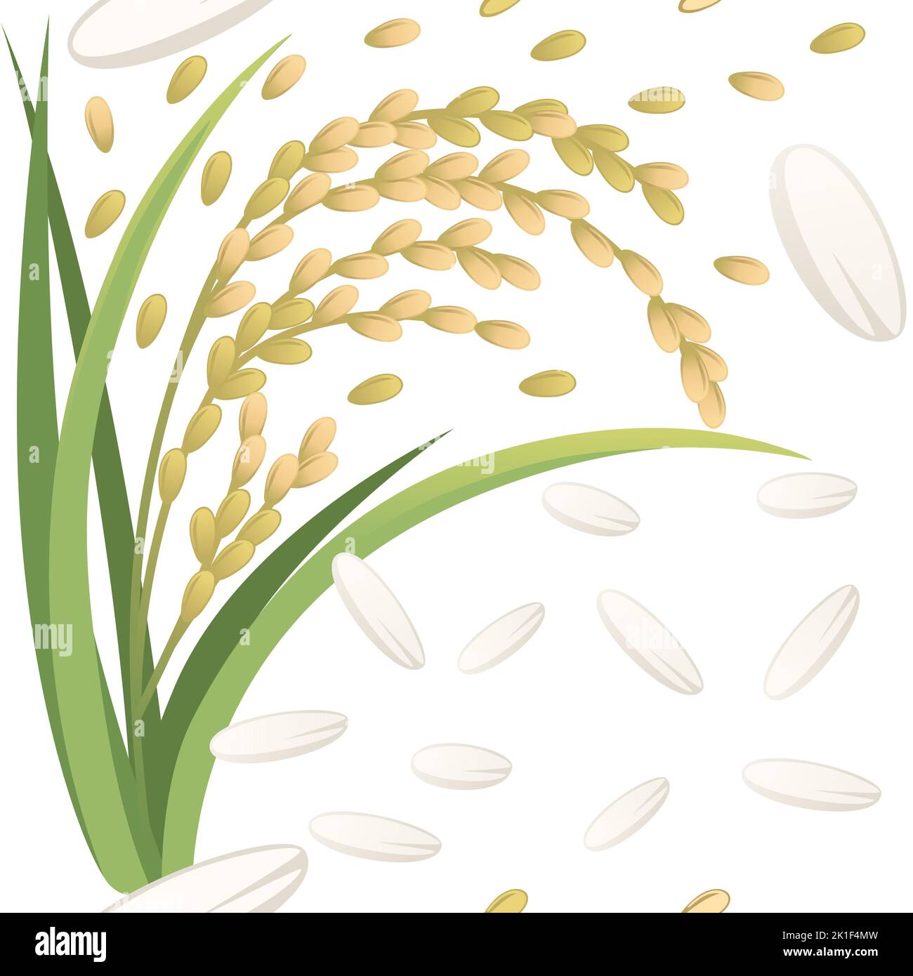 Seamless pattern Asian agriculture rice plant with ears white grain ...