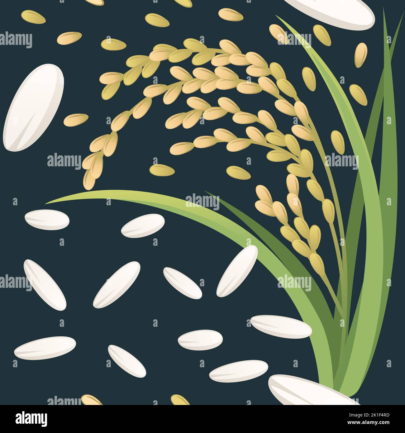 Seamless pattern Asian agriculture rice plant with ears white grain ...