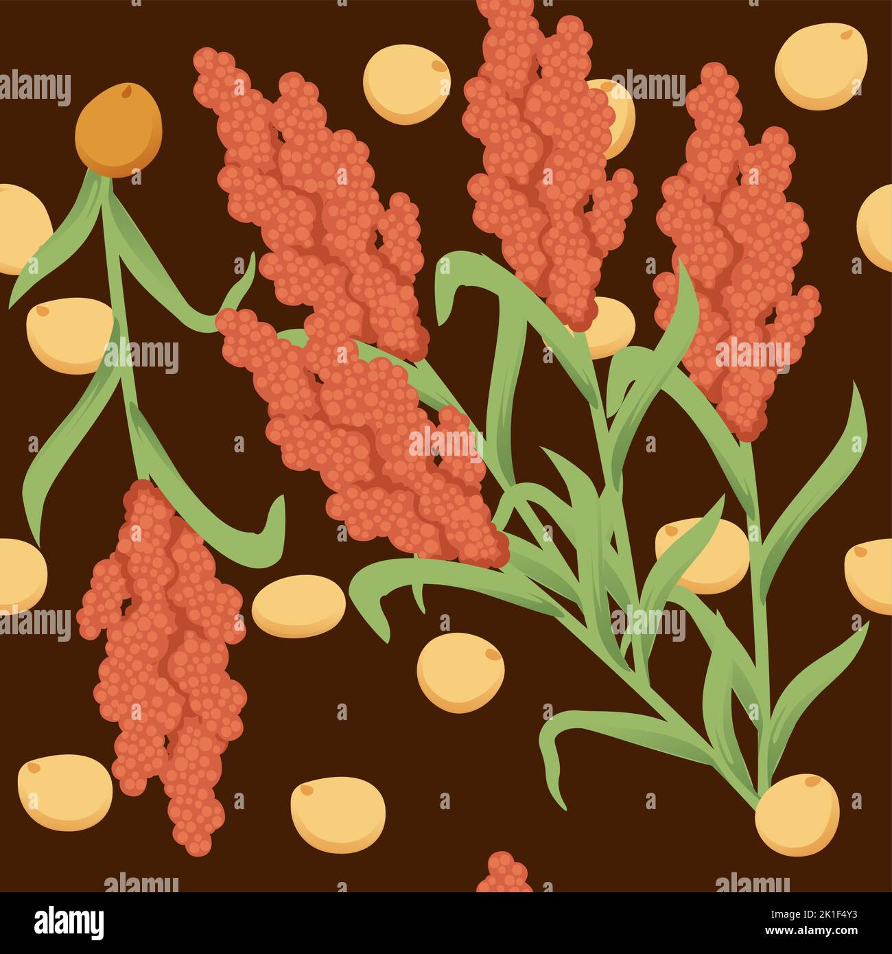 Seamless pattern Sorghum agriculture plant with seeds grain vector ...