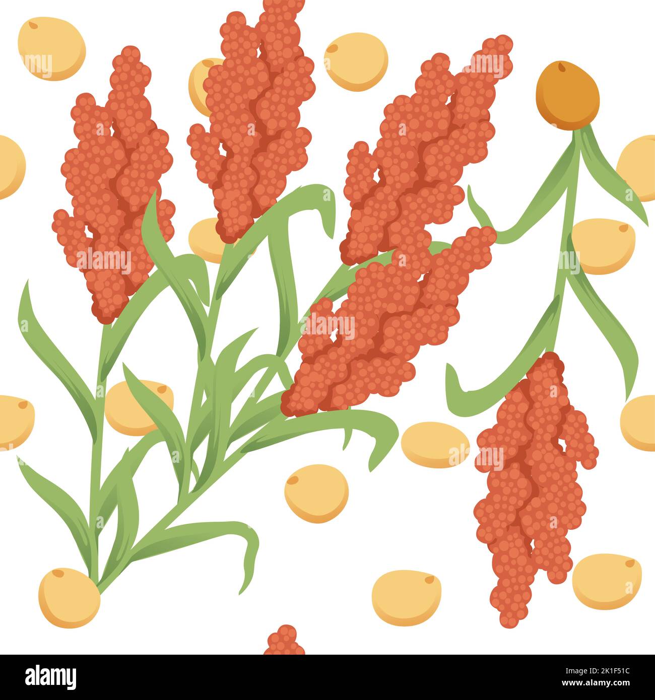 Seamless pattern Sorghum agriculture plant with seeds grain vector ...