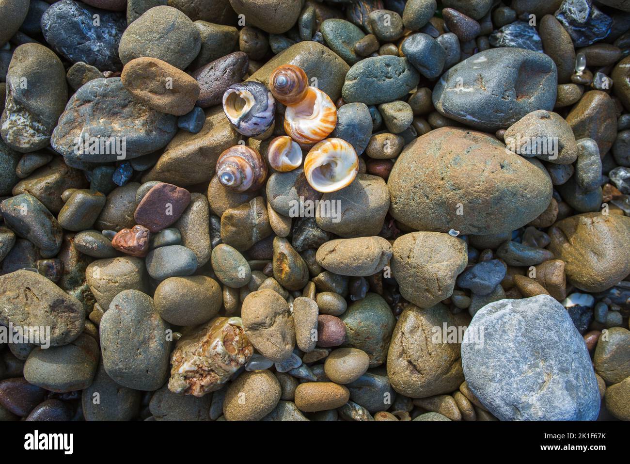 Shells and colorful rocks, Seascape at Glass Beach, Fort Bragg ...