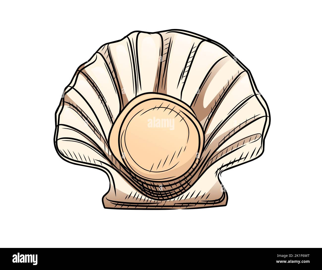 Scallop with shell seafood delicious cartoon design vector illustration ...
