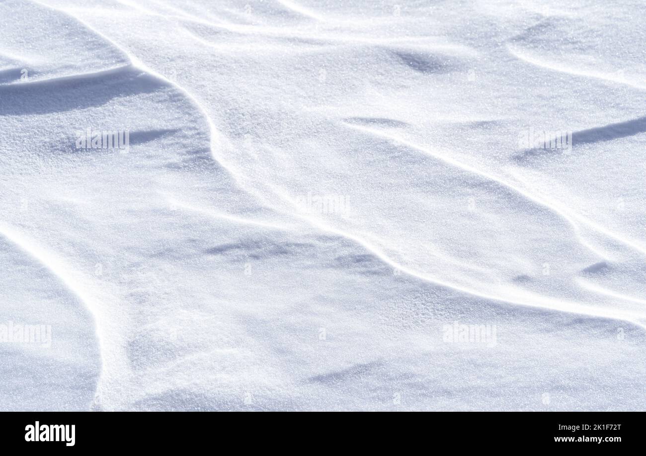 Freshly fallen snow surface looking like dunes shaped by wind. Winter ...