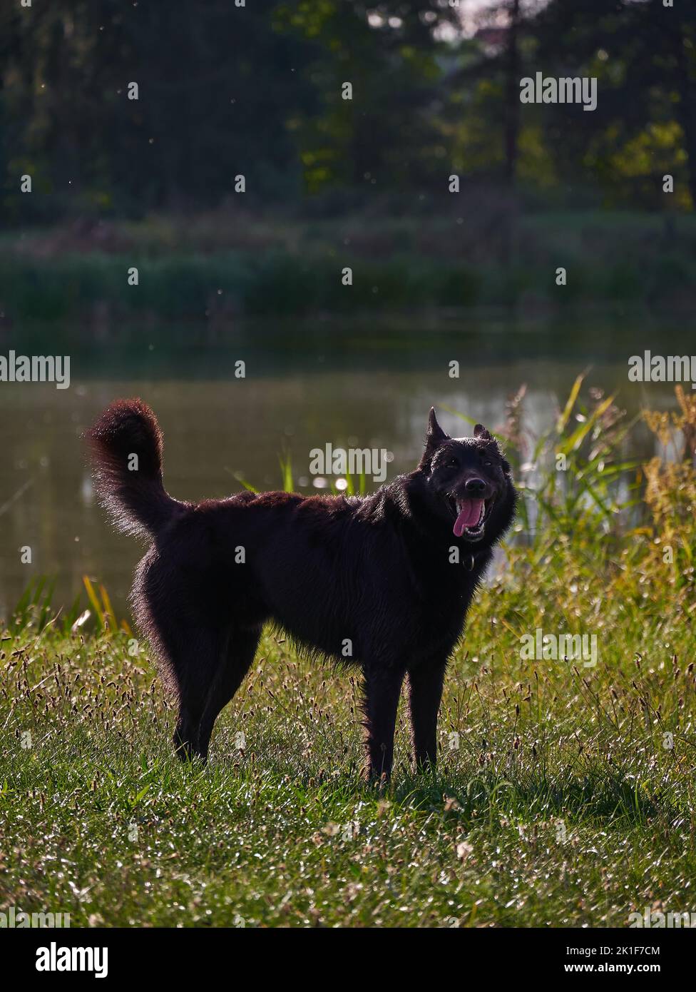 Ken field hi-res stock photography and images - Alamy