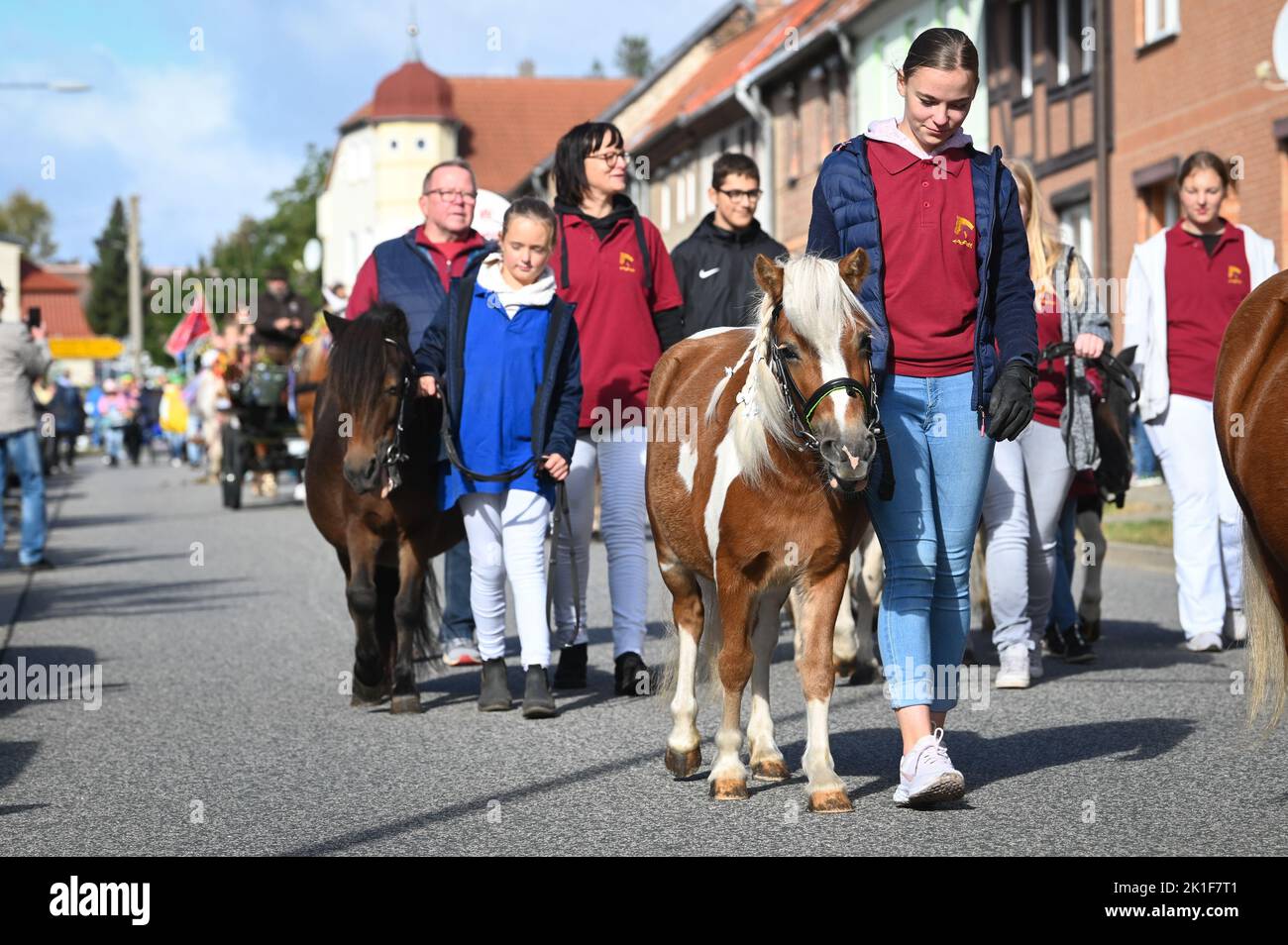 Schwanebeck, Germany. 18th Sep, 2022. Pony parade in the procession ...