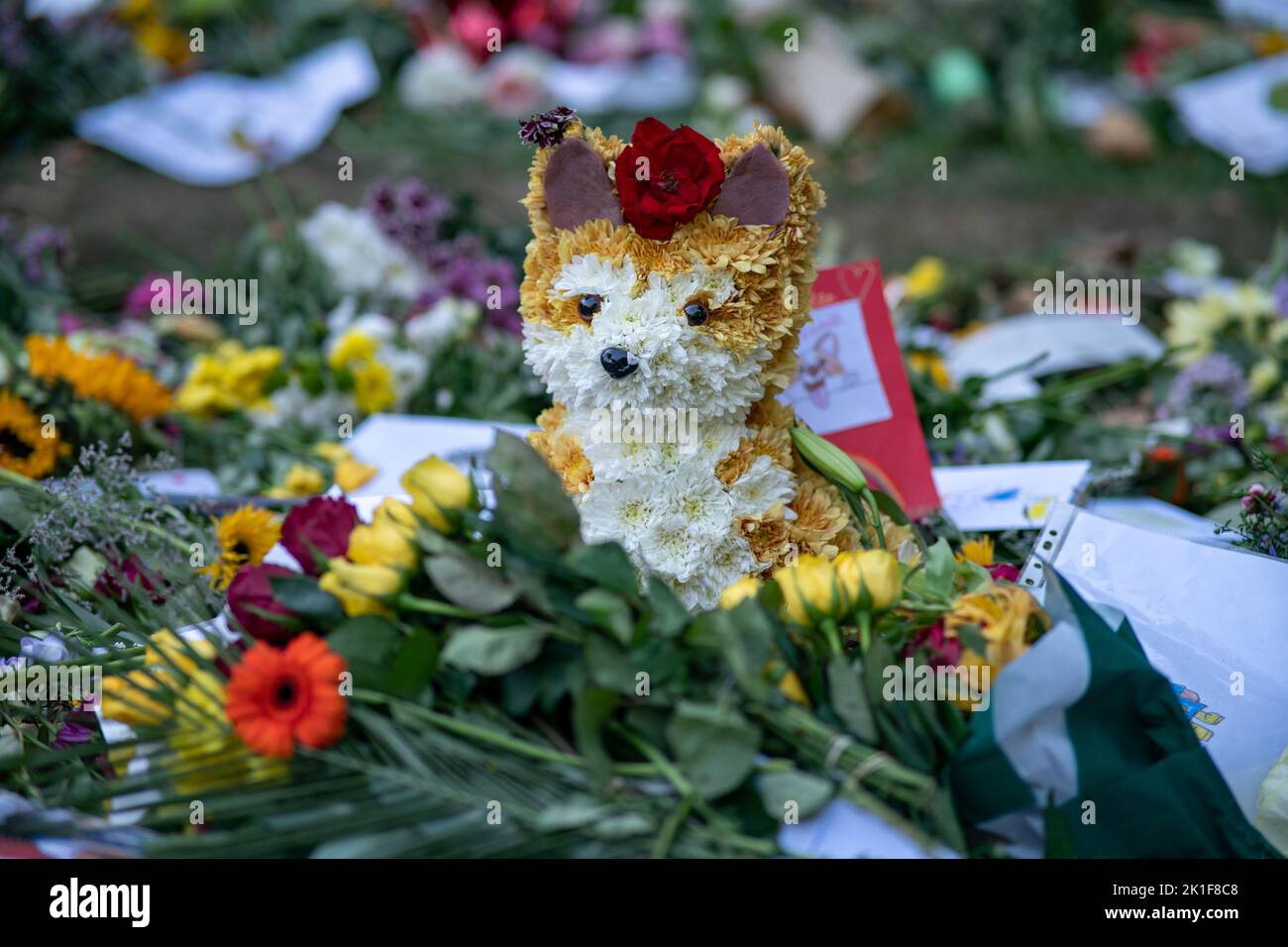 Tributes for Queen Elizabeth II including Corgis made from flowers ...