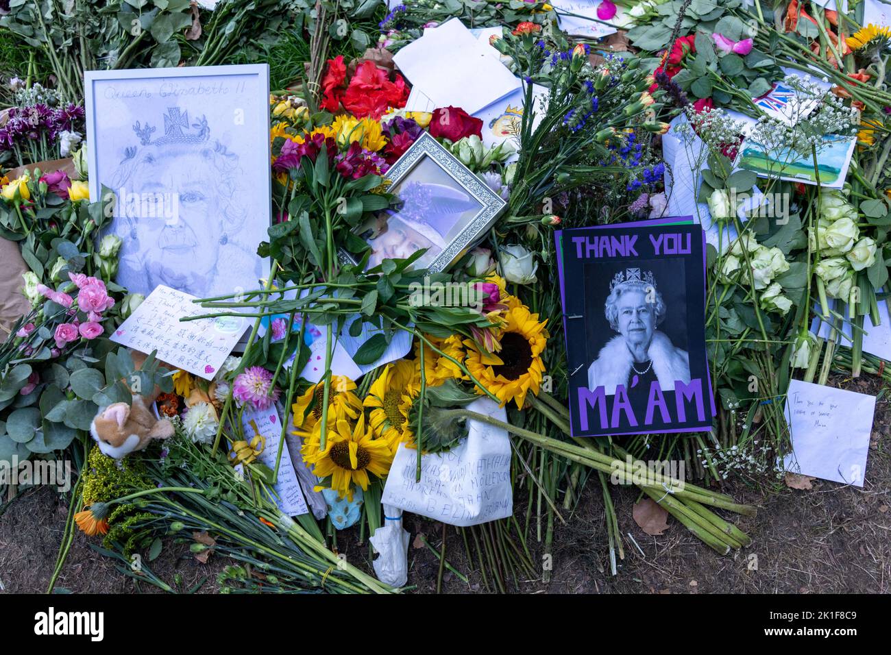 Tributes for Queen Elizabeth II including Corgis made from flowers ...