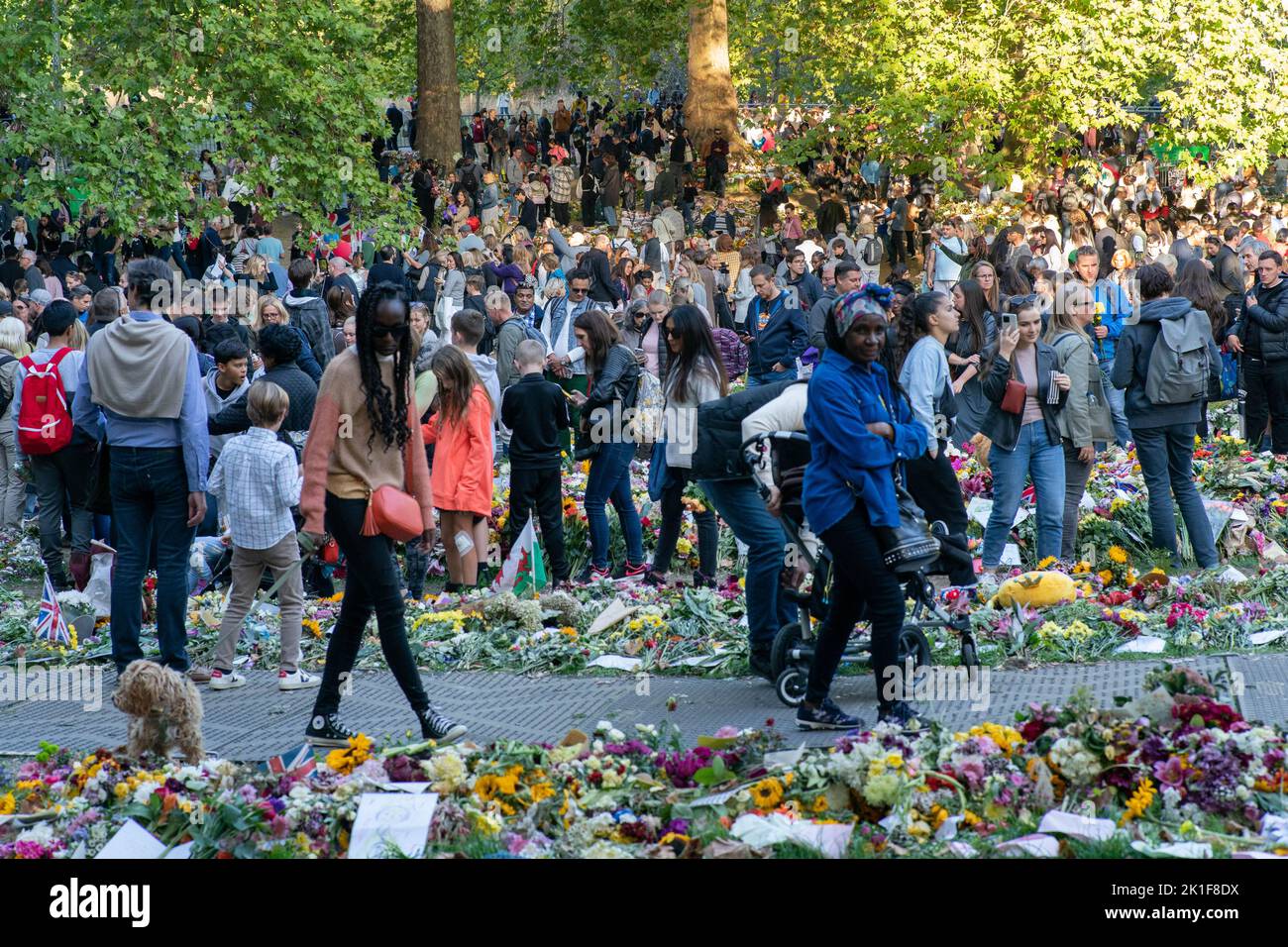 Tributes for Queen Elizabeth II including Corgis made from flowers ...