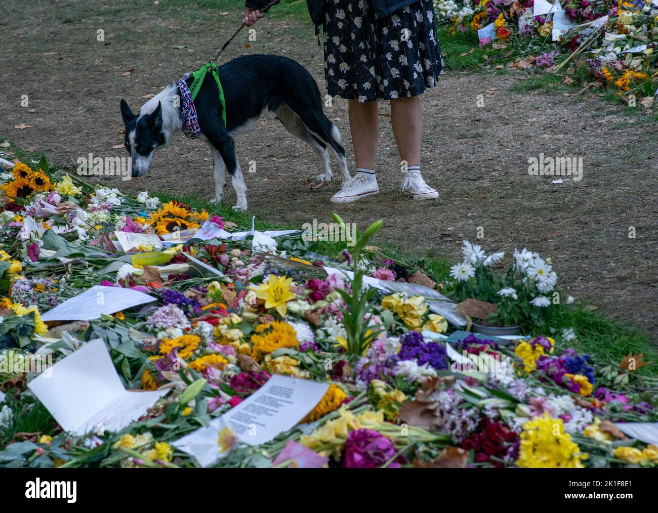 Tributes for Queen Elizabeth II including Corgis made from flowers ...