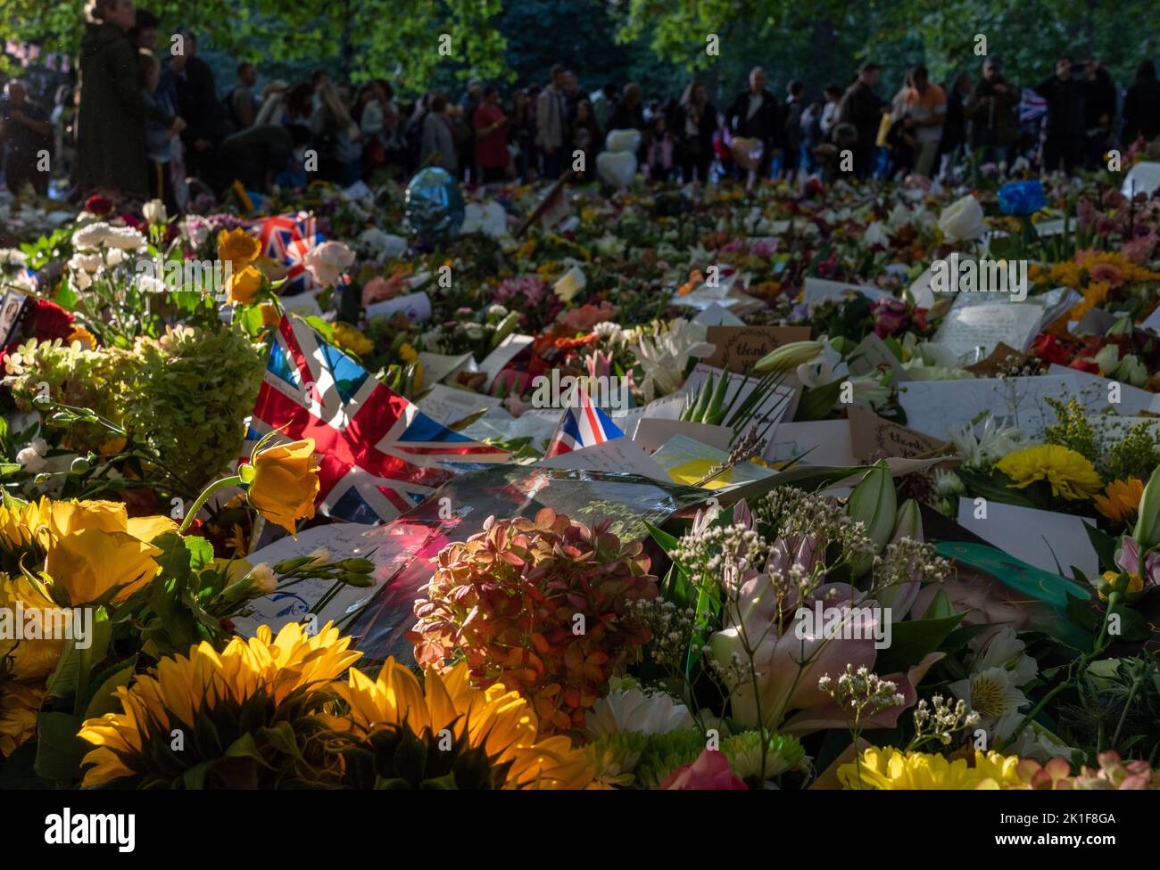 Tributes for Queen Elizabeth II including Corgis made from flowers ...
