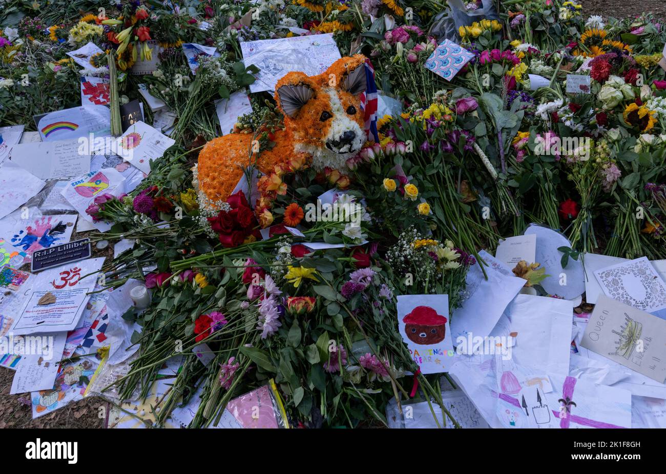 Tributes for Queen Elizabeth II including Corgis made from flowers ...