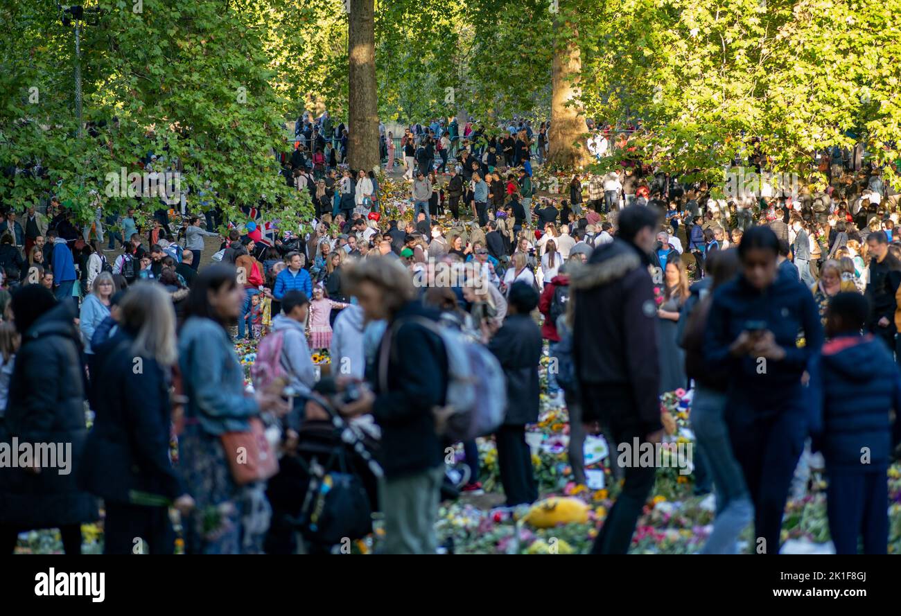 Tributes for Queen Elizabeth II including Corgis made from flowers ...