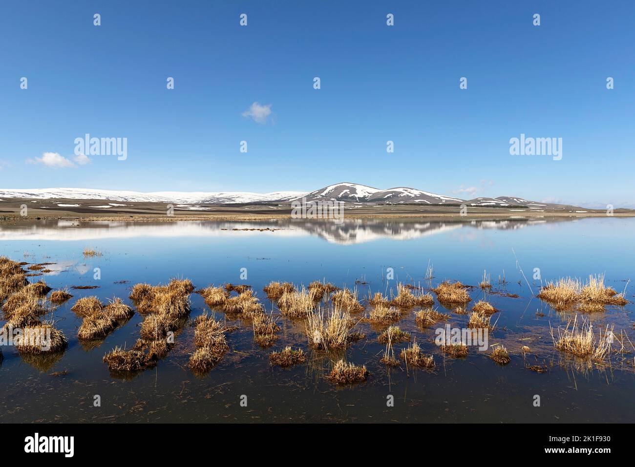 Spectacular Bughdasheni Managed Reserve in spring, a high altitude lake ...