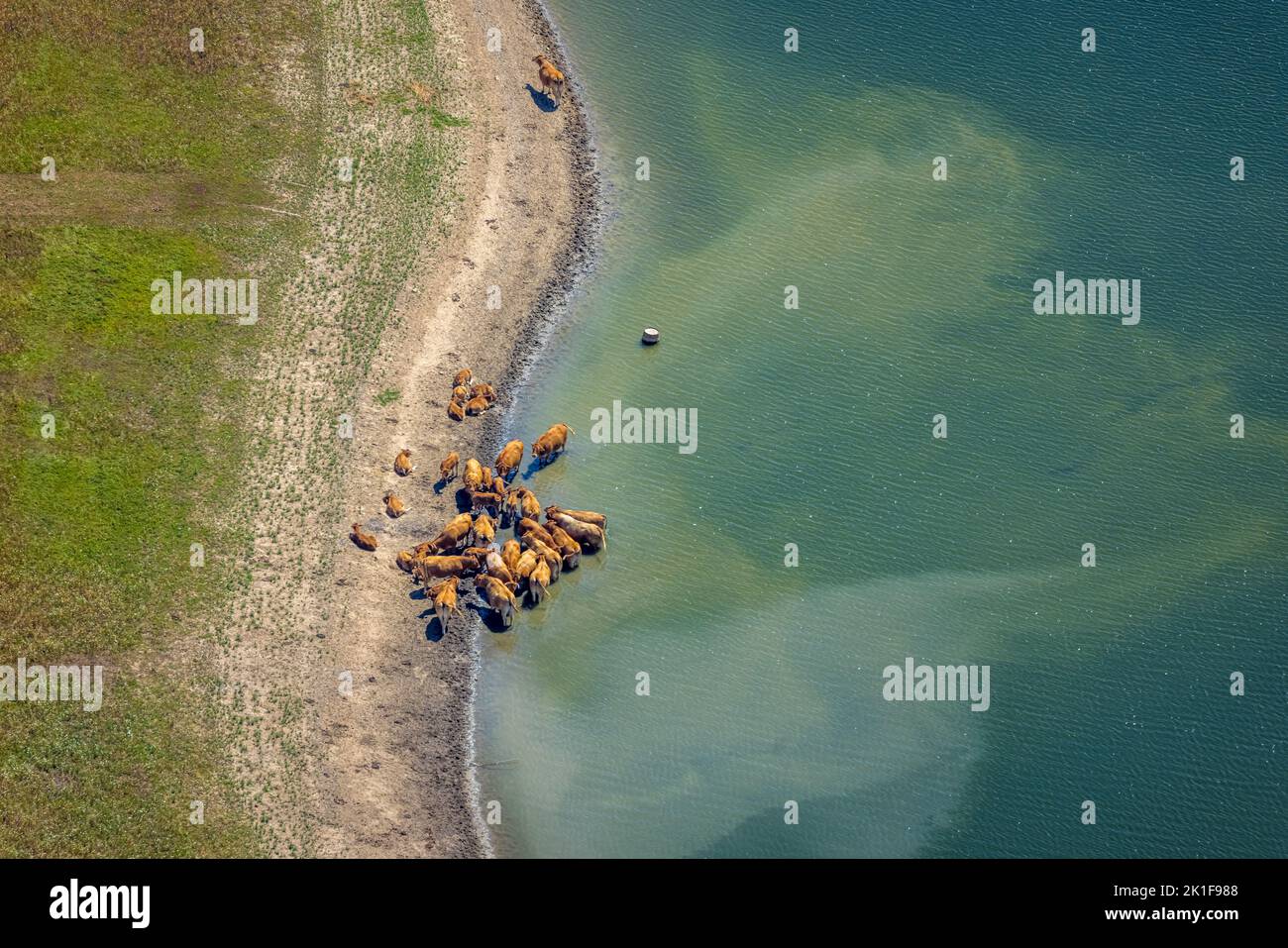 Rhine foreland between mehrum and emmelsum hi-res stock photography and ...