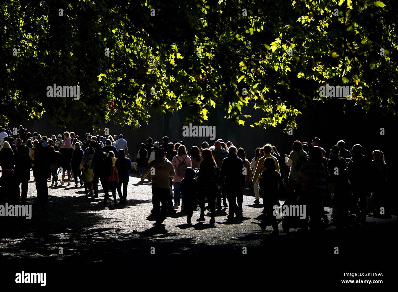 Members of the public queue to place flowers in green park following ...