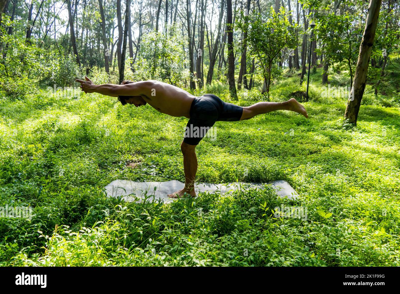 A young hispanic man doing yoga poses in a sunny clearing in a forest ...
