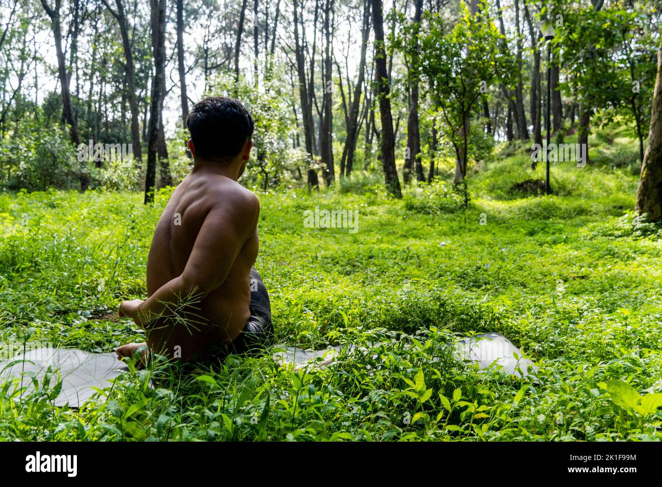 A young hispanic man doing yoga poses in a sunny clearing in a forest ...