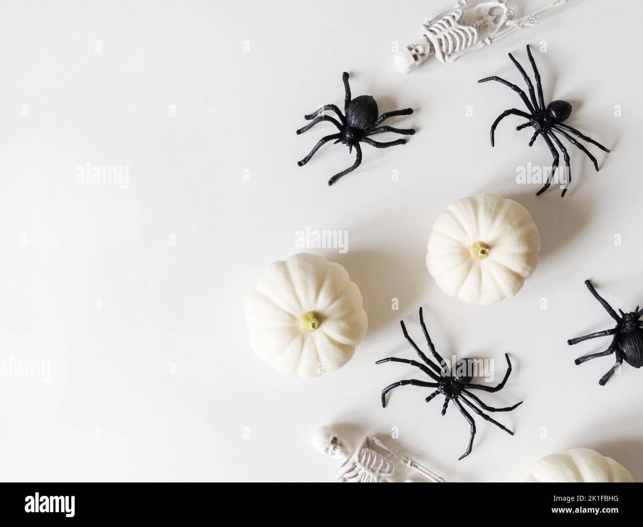 White Halloween background with white pumpkins, webs, sceletons, black ...